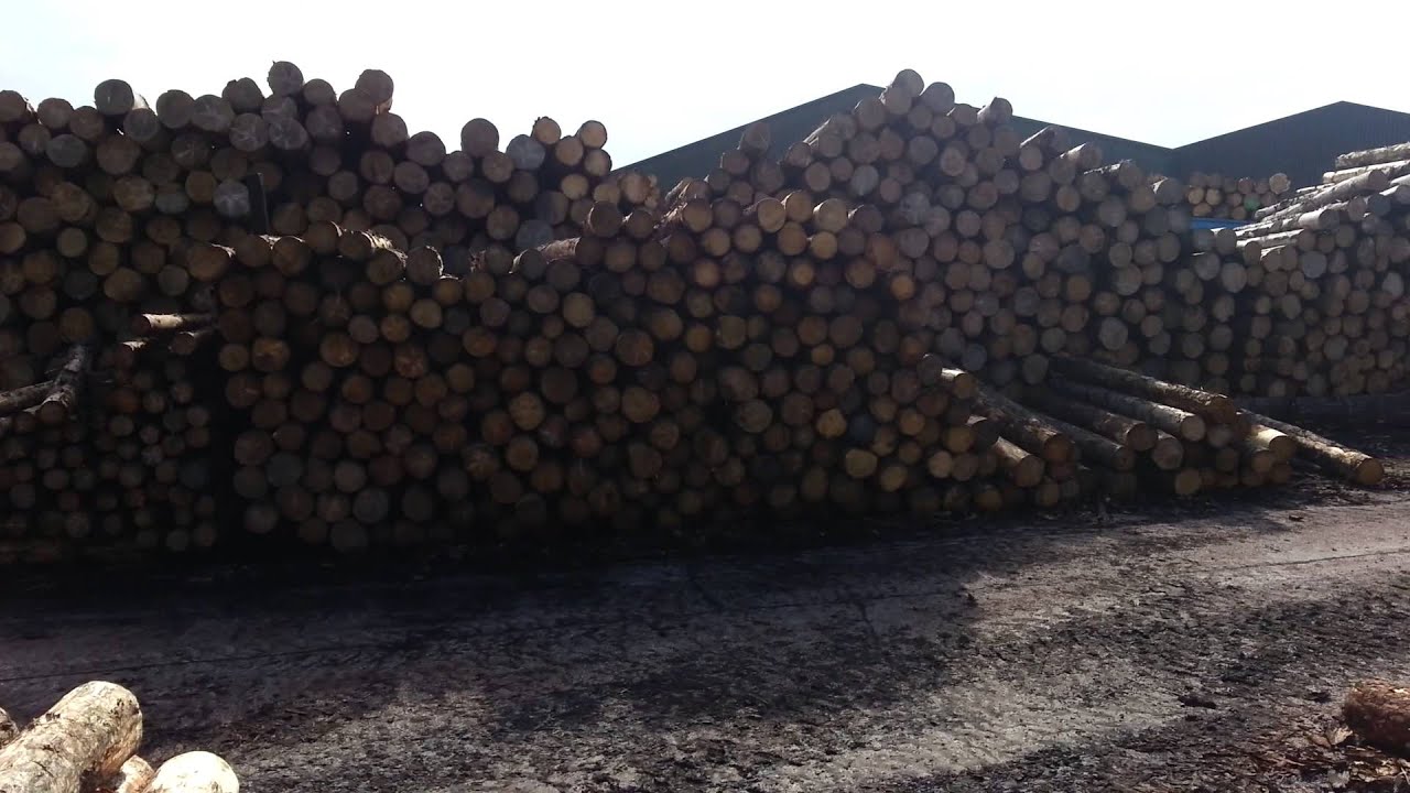 Jobi Logs - YouTube