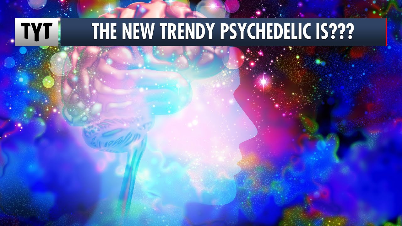 Toxic Toad Venom Is The New Trendy Psychedelic - YouTube