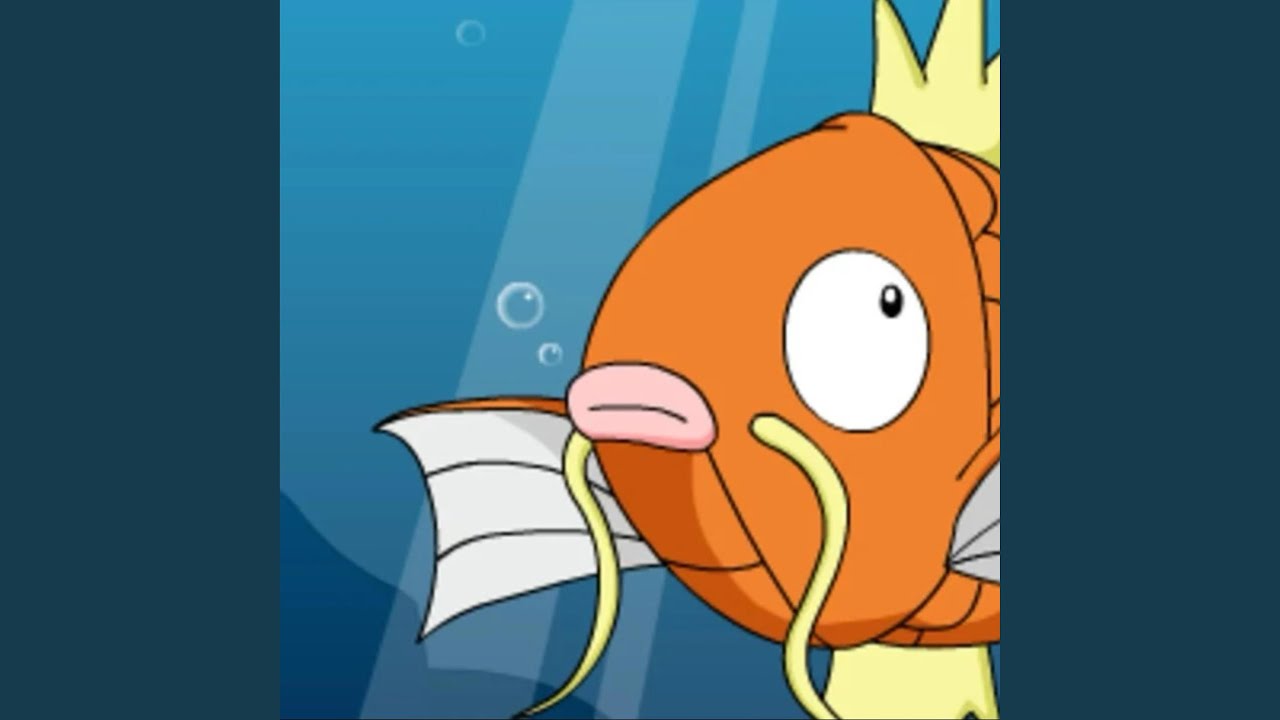 Coy Fish - YouTube