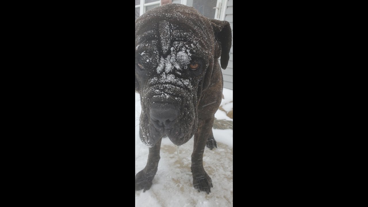 eva online and skim ad - YouTube