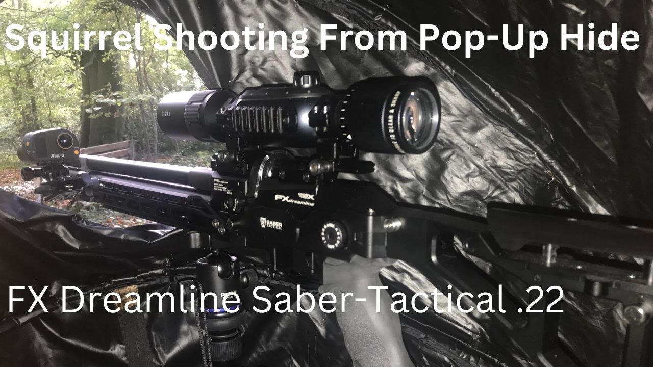Grey Squirrel Control from Pop-Up hide with FX Dreamline SaberTactical ...