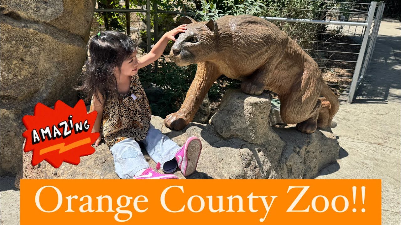 Visited Orange County Zoo !! - YouTube