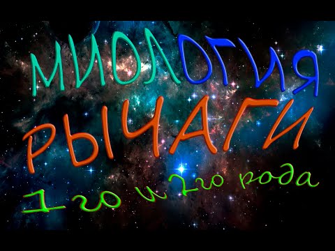Миология, рычаги 1го и 2го рода