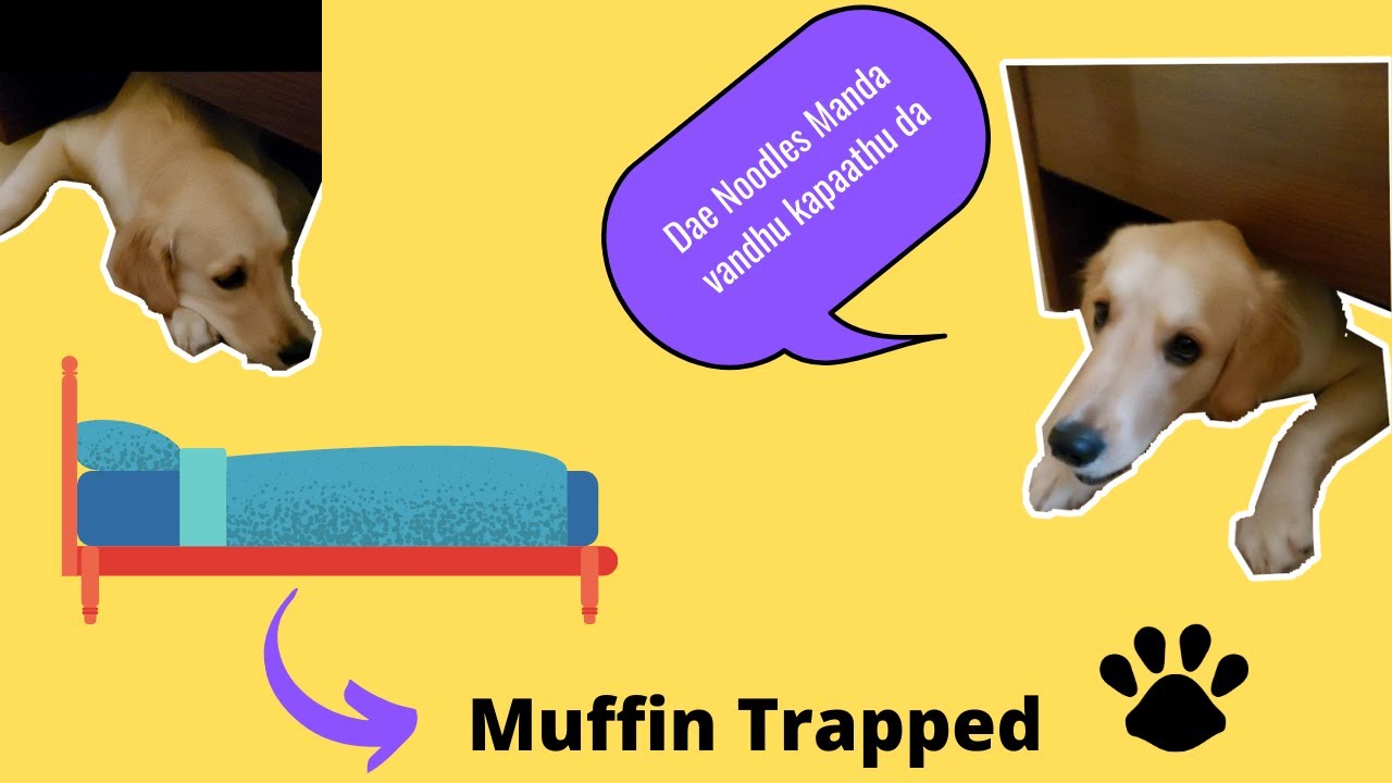 Trapped under the bed | Mind voice | Muffin and Maya - YouTube