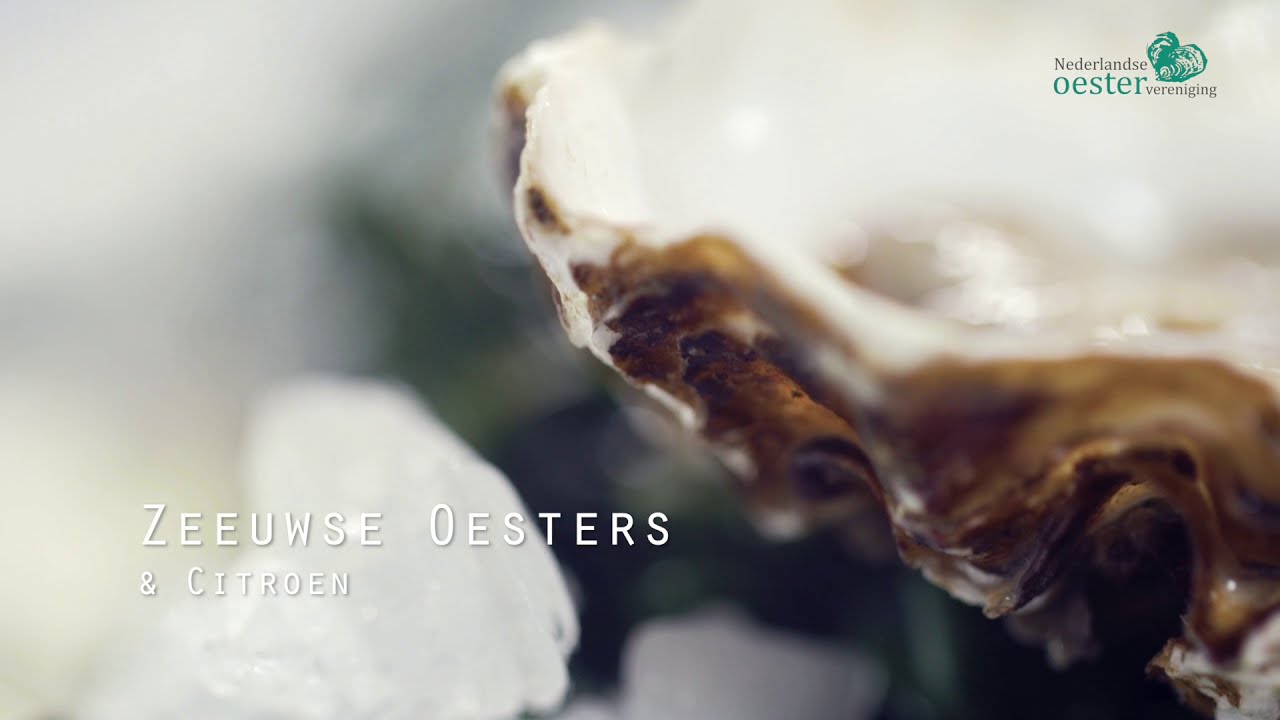 Zeeuwse Oesters met citroen - YouTube