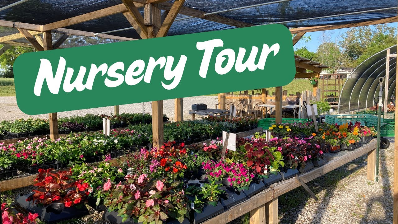 FULL Spring Nursery Tour - 3rd Year Nursery - YouTube