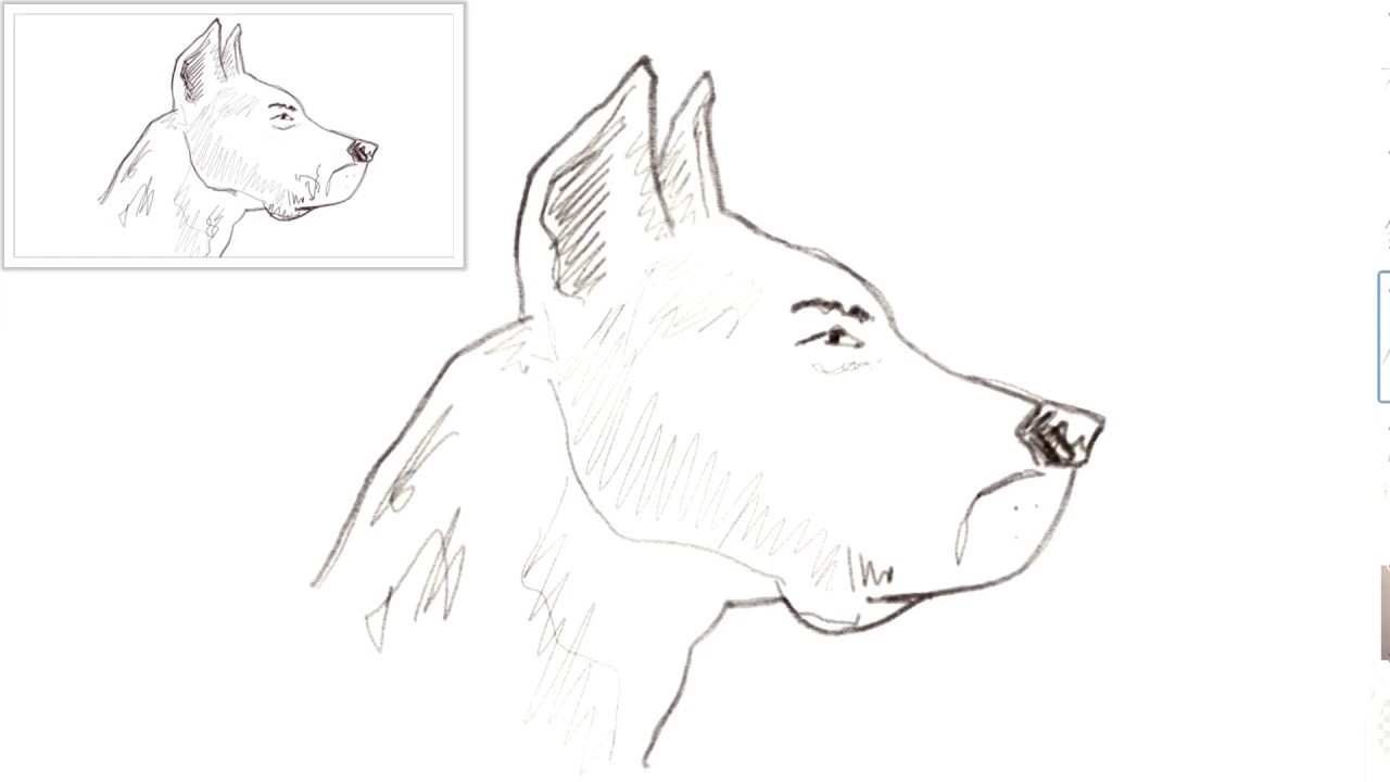Cómo dibujar un perro de perfil Muy fácil Paso a Paso - YouTube