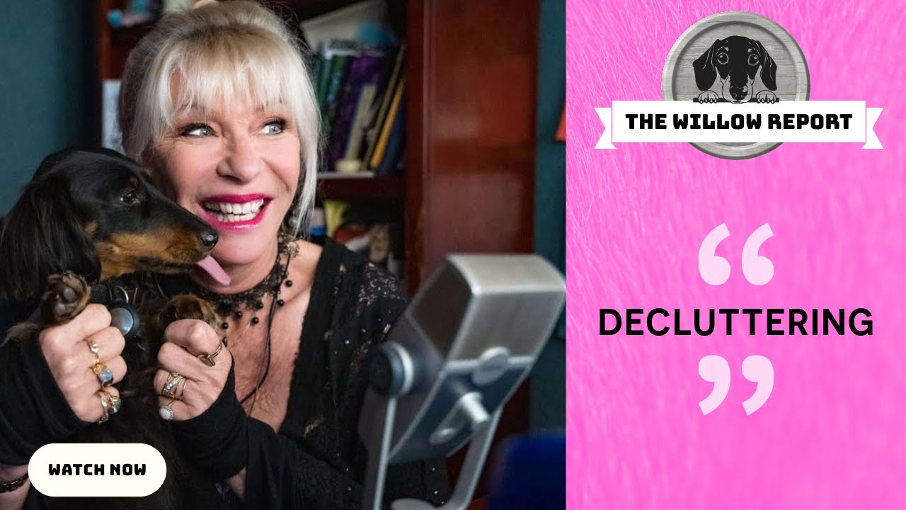 The Willow Report - Decluttering - YouTube