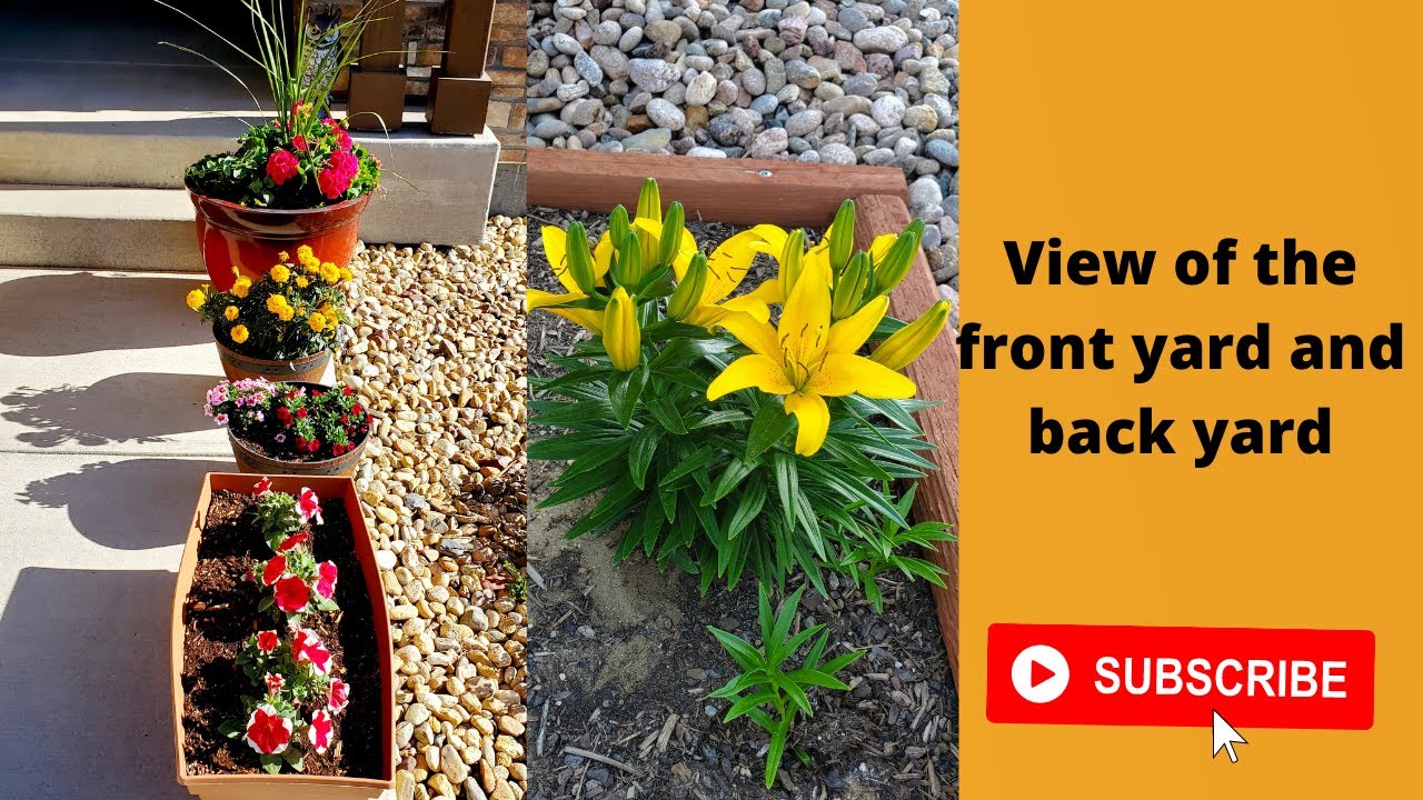 View of the front yard and back yard # Summer look - YouTube
