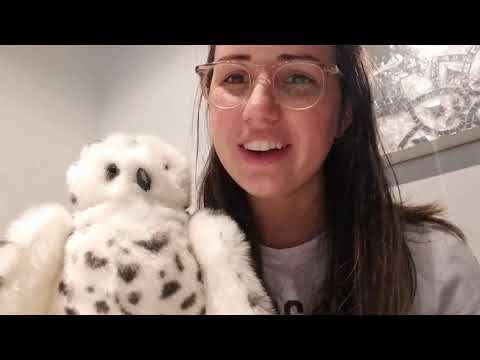 Calming Story Time with Ms. Koogle - Double Dip Feelings - YouTube