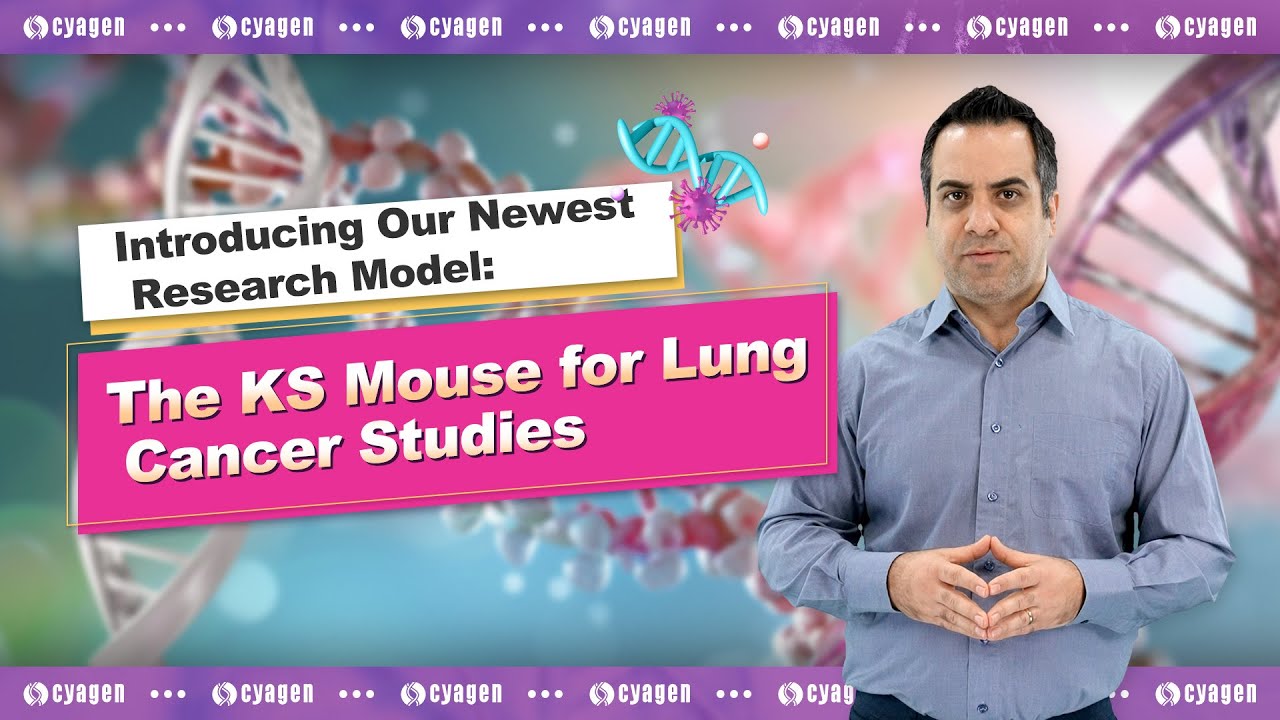 Introducing Our Newest Research Model: The KS Mouse for Lung Cancer ...