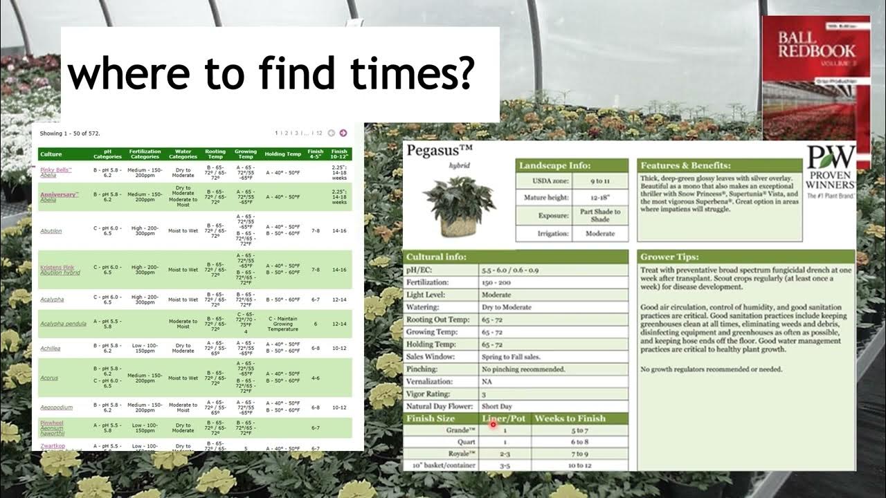 Greenhouse and Nursery Crop Scheduling - YouTube