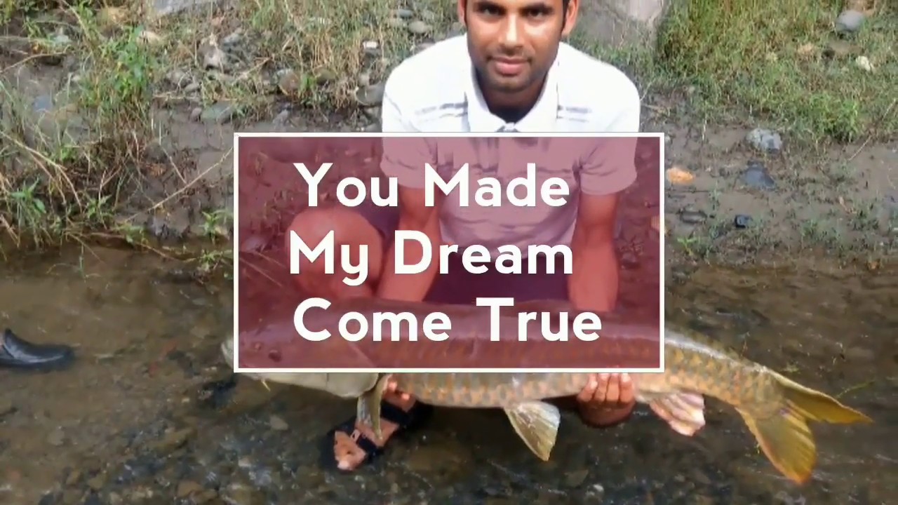 GOLDEN MAHSEER FISH OF HIMALAYAN FOOTHILLS - YouTube