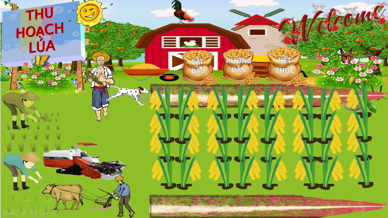 GAME: "THU HOẠCH LÚA" trên phần mềm powerpoint. Tặng các đồng nghiệp ...