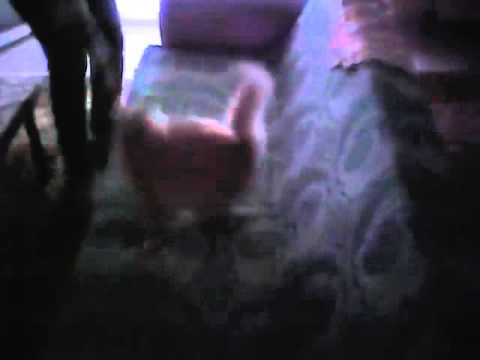 VID 20151120 144057