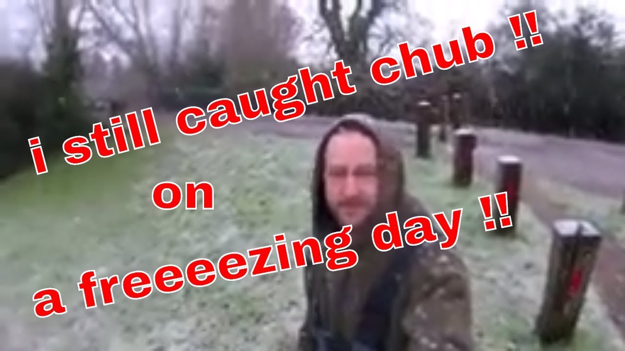 CHUB FISHING RIVER WAVENEY bread - YouTube