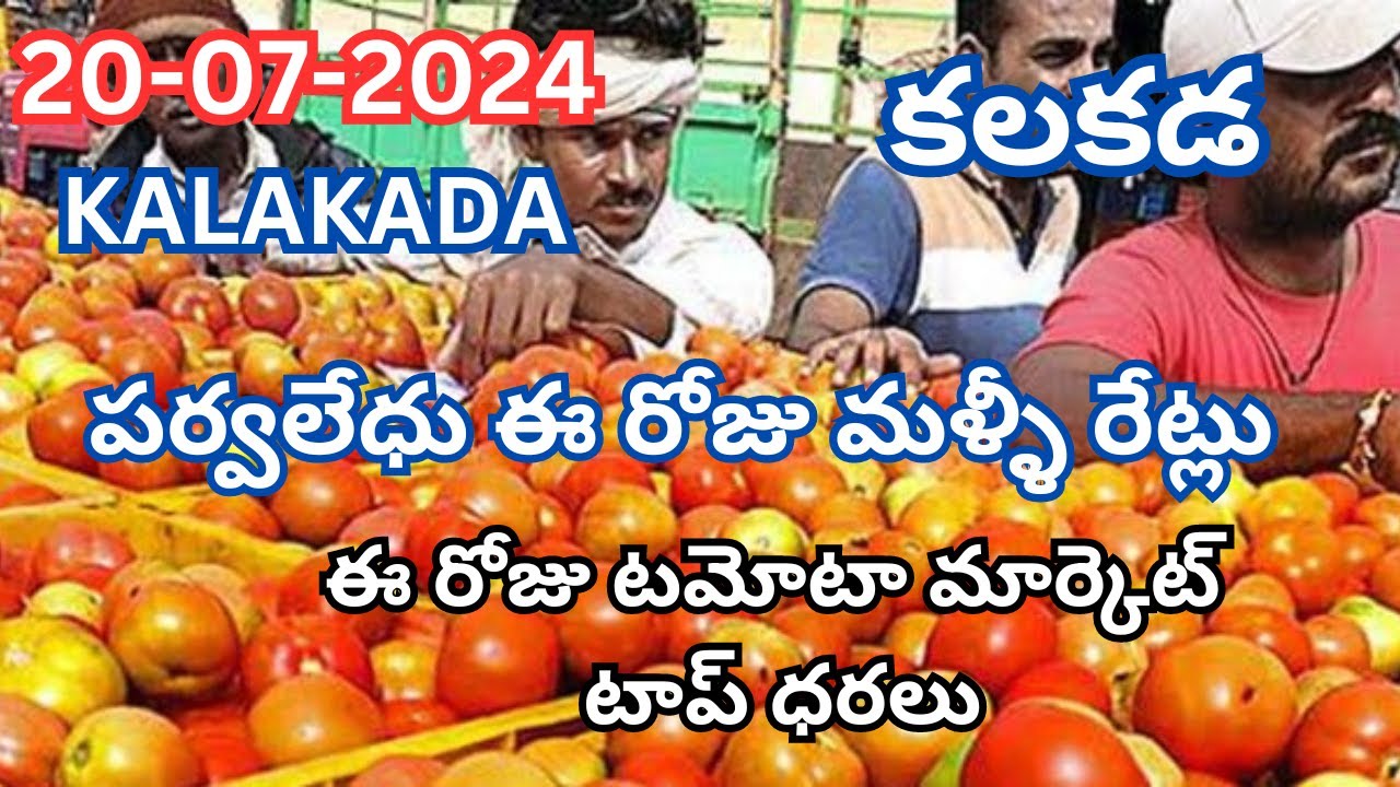 20/07/24 | Kalakada Tomato Market Rate Today || Today Tomato Market ...