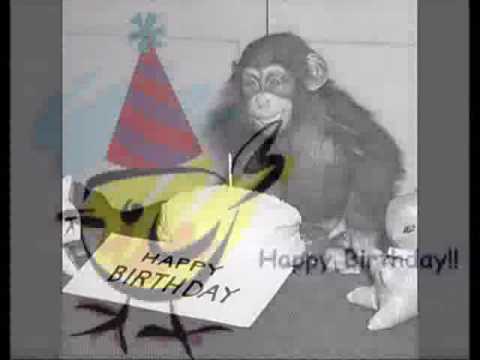 Doğum Günün Kutlu Olsun - Happy Birthday To You