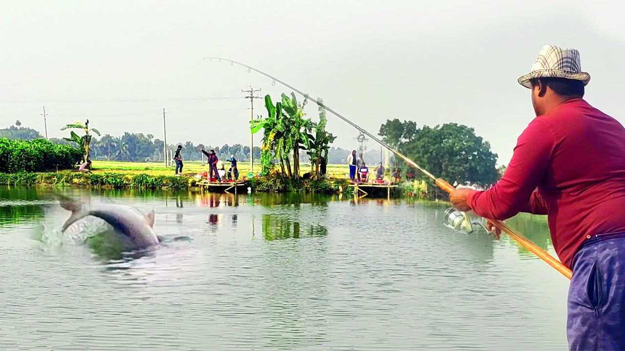 Biggest Rohu Fish Catching By Hook || best hook fishing part 19 || big ...