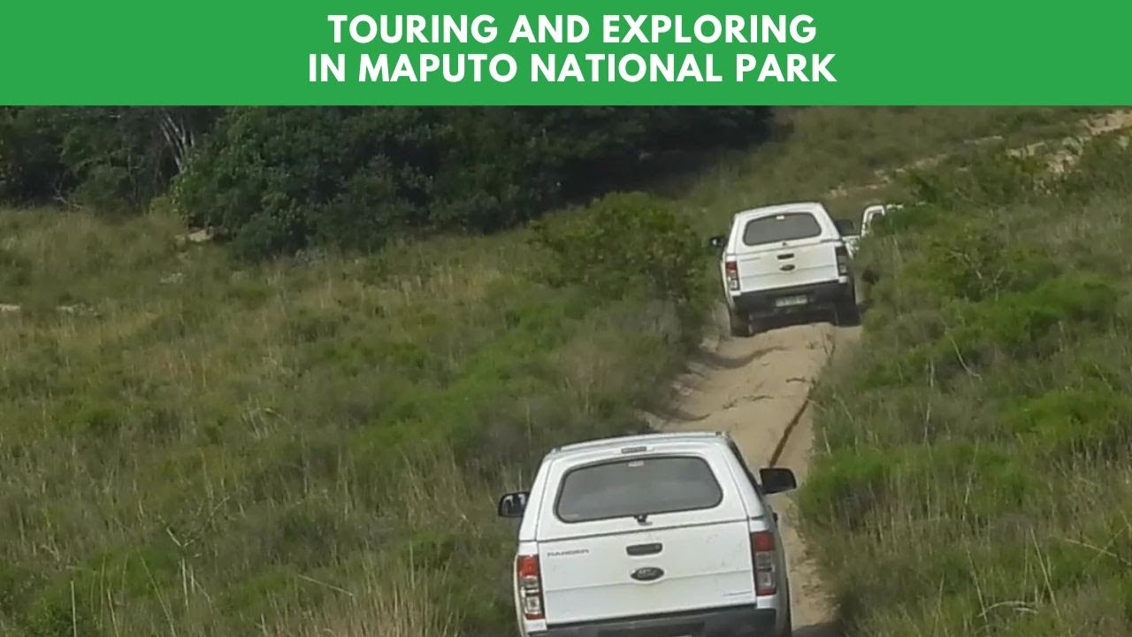 Touring and Exploring in Maputo National Park - YouTube