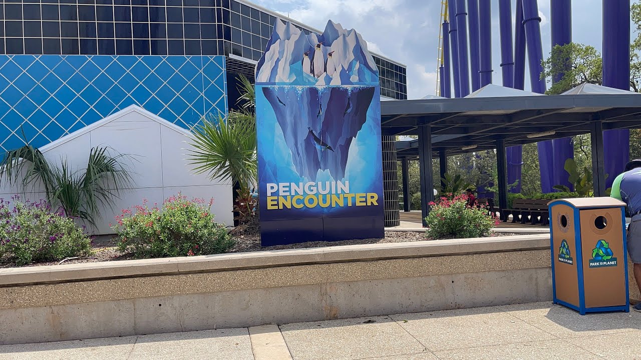 2025 Penguin Encounter at SeaWorld San Antonio - YouTube