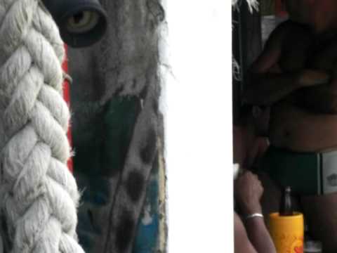 Voyuer i©hubb¥S@mp@ ß® II