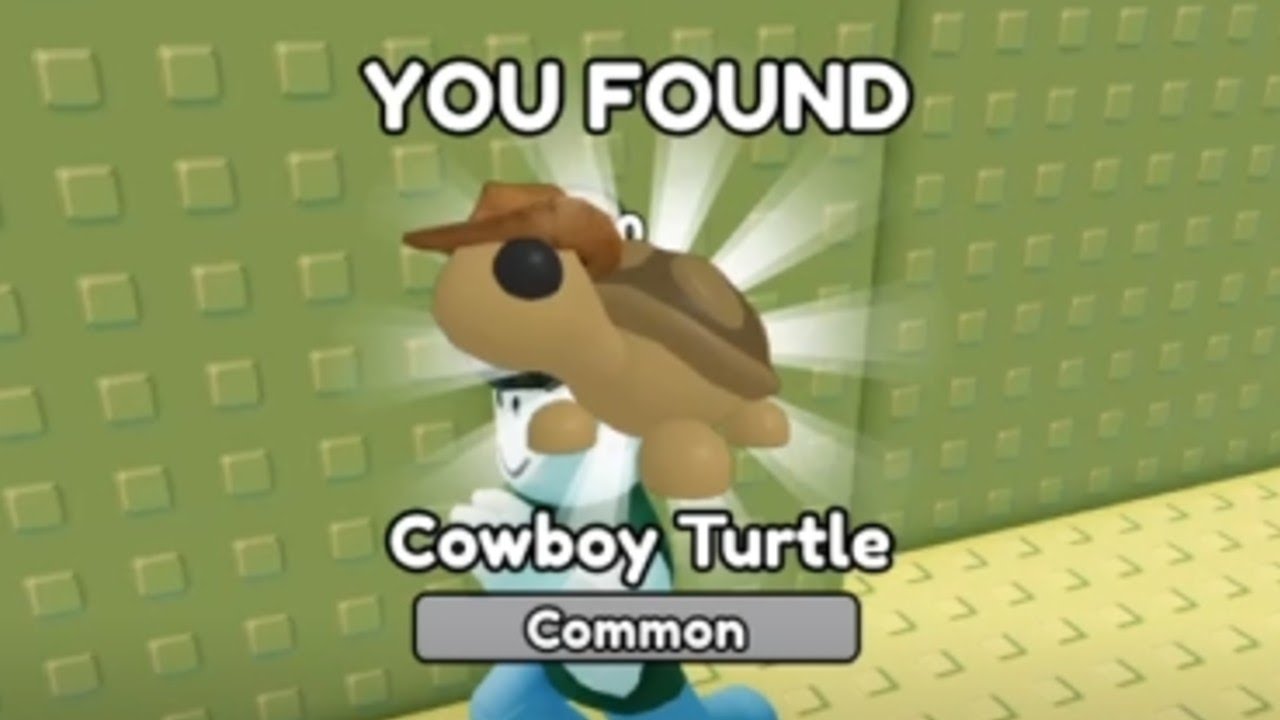Find the Turtles - Where to Find the Cowboy Turtle (Roblox) - YouTube