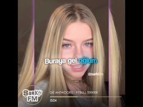 Şarkı Fm - DIE ANTWOORD - PITBULL TERRIER