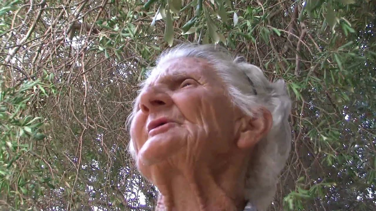 Olive Story Museum - YouTube