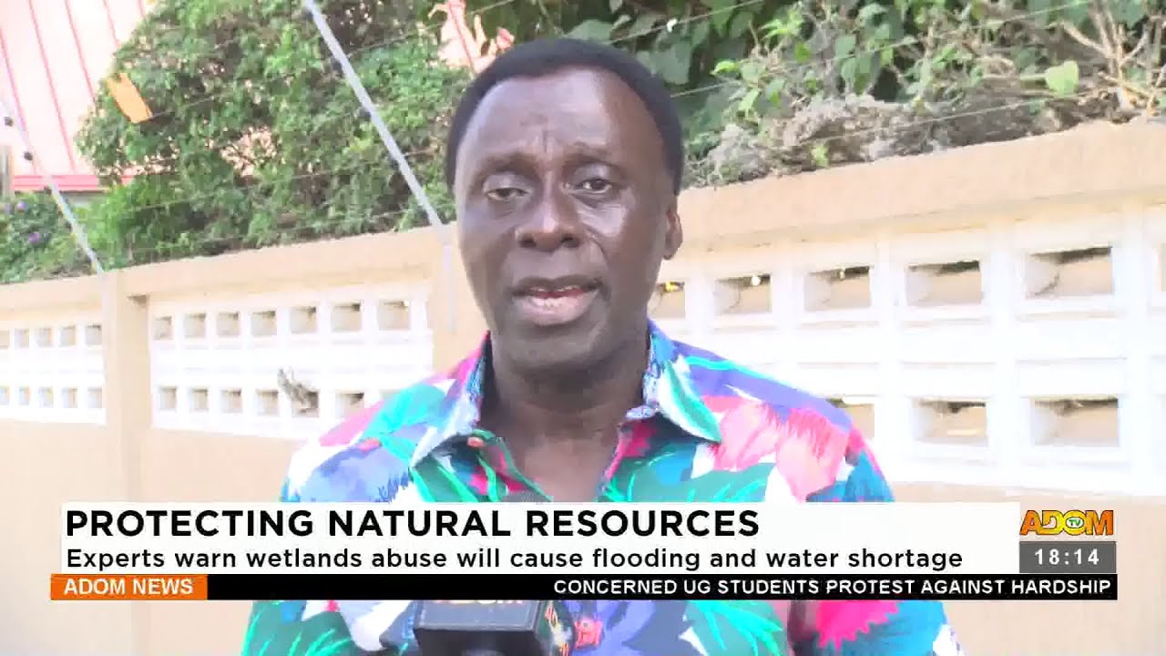 Natural Resources: Experts warn wetlands abuse will cause flooding and ...