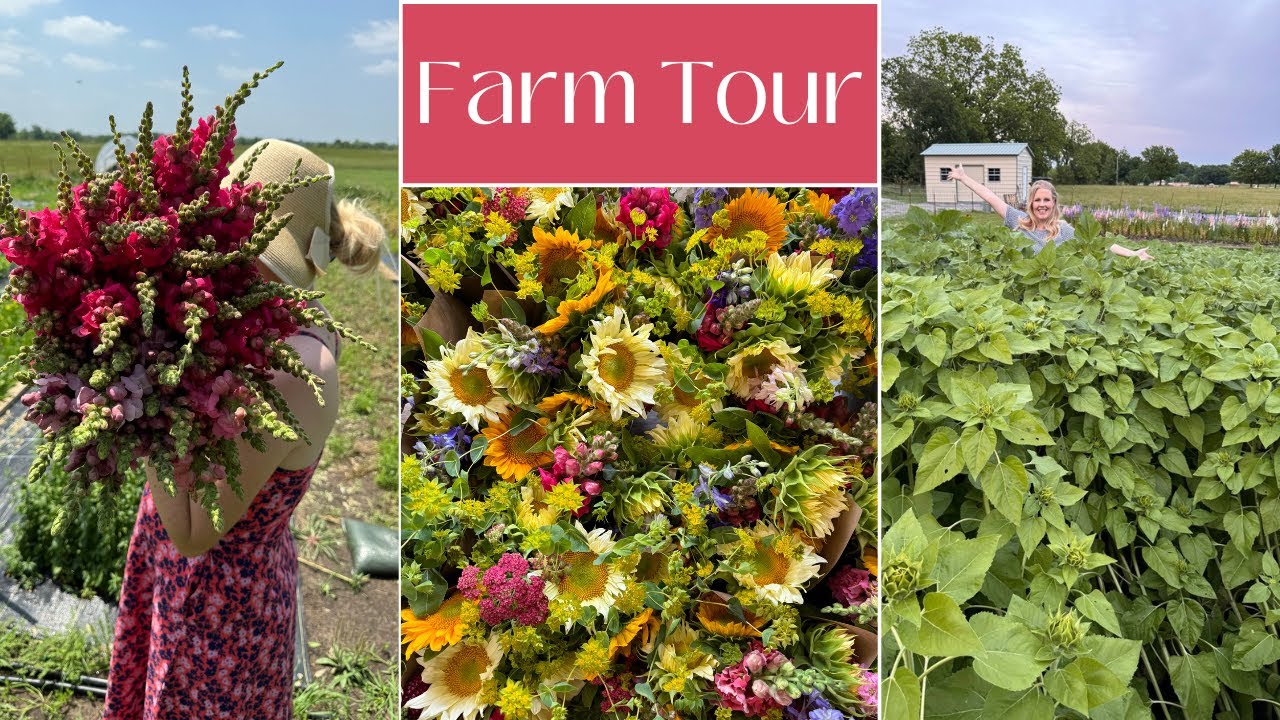 May Flower Farm Tour + Tornado Update 🌪️ - YouTube
