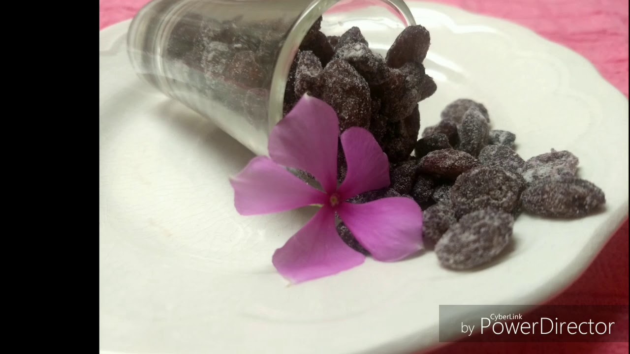 BlueBerry Raisins [ first time on YouTube ] - YouTube