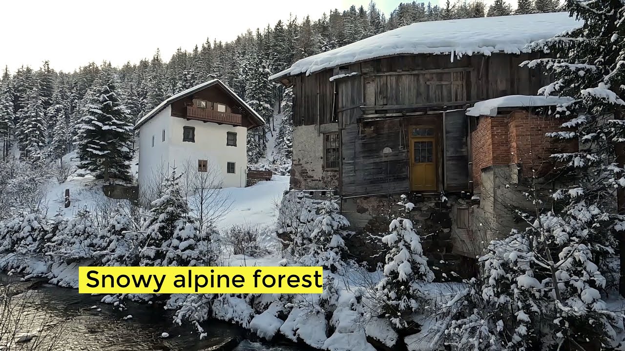 4K Snowy alpine forest, cross-country ski - YouTube