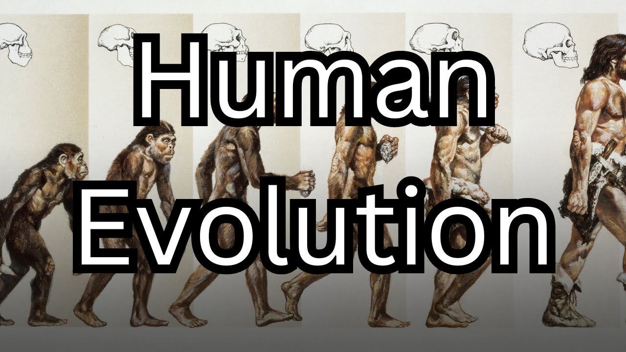 Human Evolution From Past to Future | Story Time with Philip - YouTube