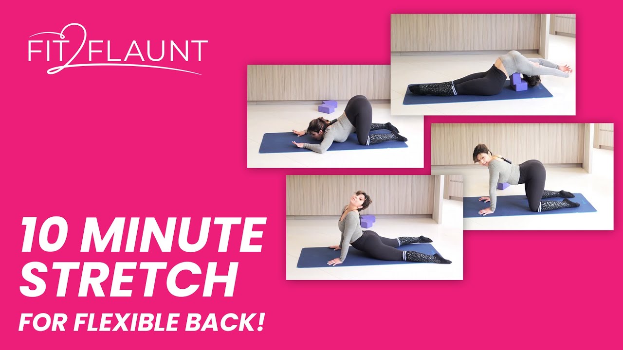 Stretch Routine for Back Flexibility (10 Minutes!) - YouTube
