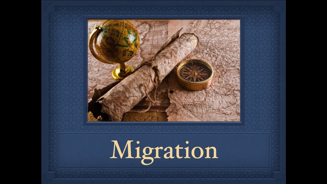 Migration - YouTube
