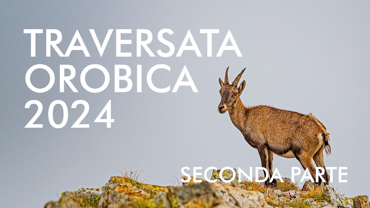 9 GIORNI TRA LE OROBIE (quasi) IN SOLITARIA | TRAVERSATA OROBICA 2024 ...