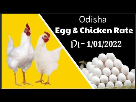 1/01/2022 କୁକୁଡ଼ା, ଅଣ୍ଡା, ମାଂସ, ମାଛ ଦର || Today #Suguna || #Pasupati ...
