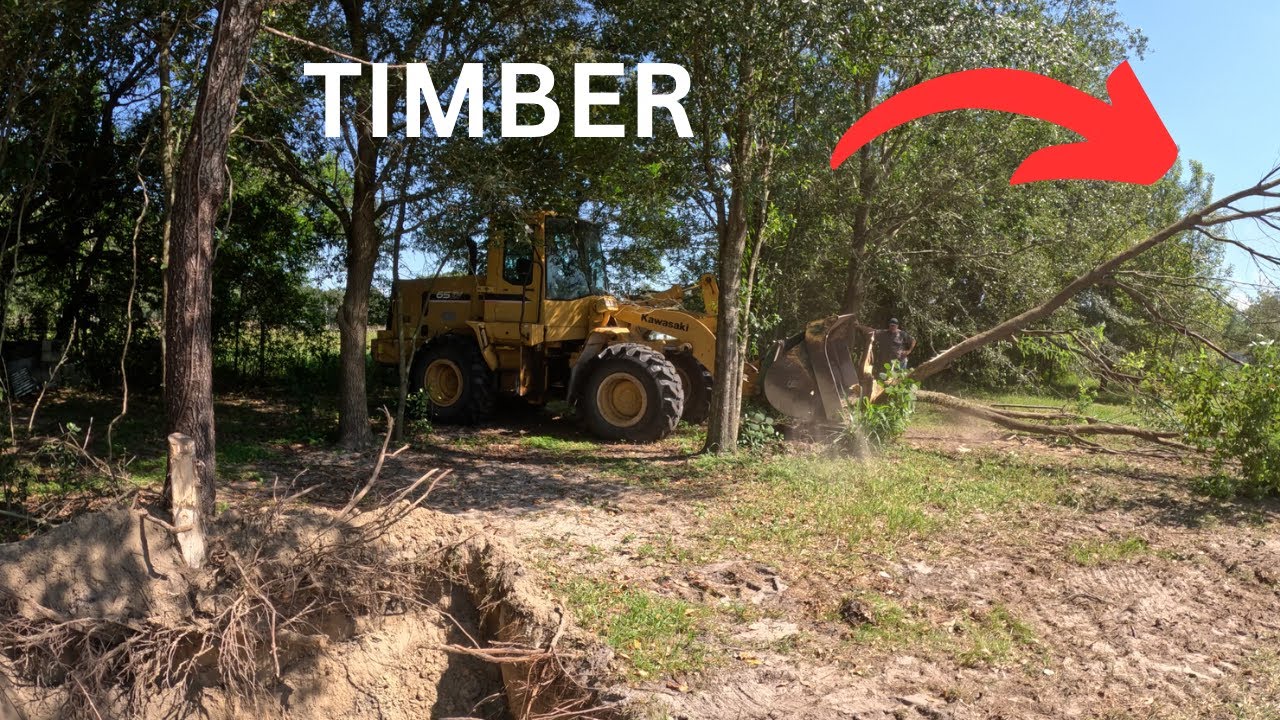Clearing trees and grading a building lot - YouTube