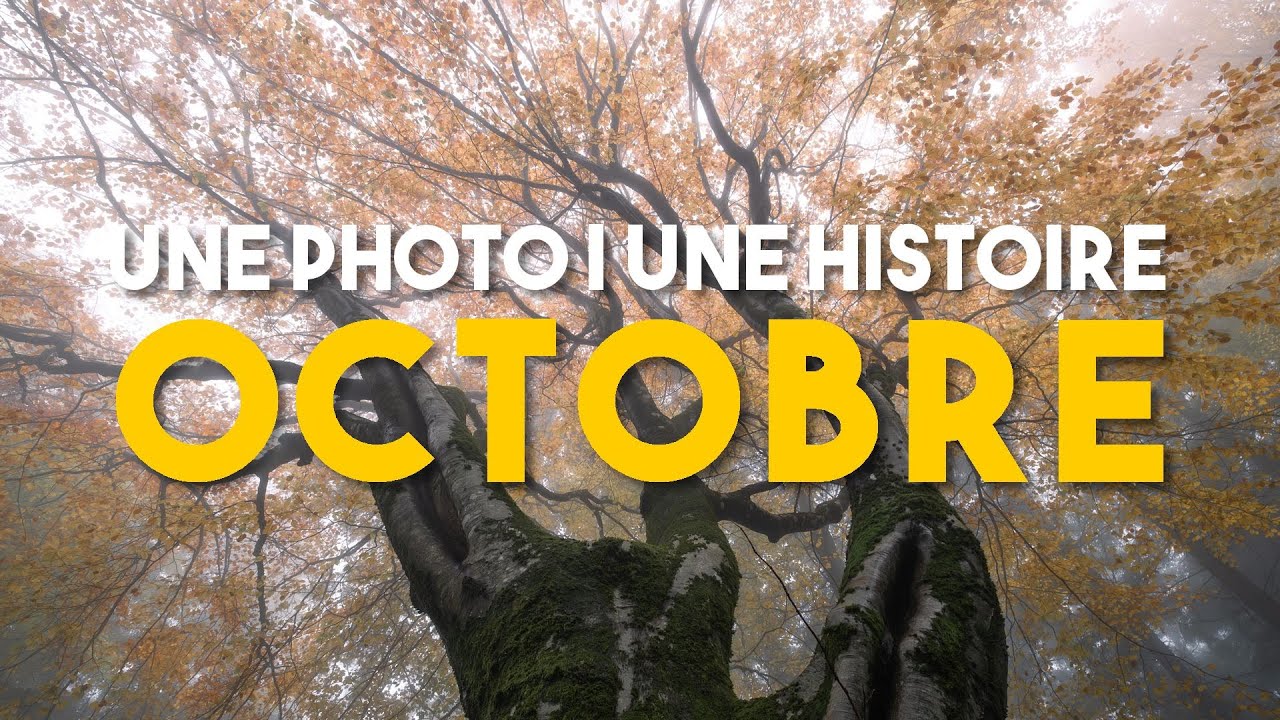 📸 UNE PHOTO, UNE HISTOIRE | OCTOBRE 📖 - YouTube