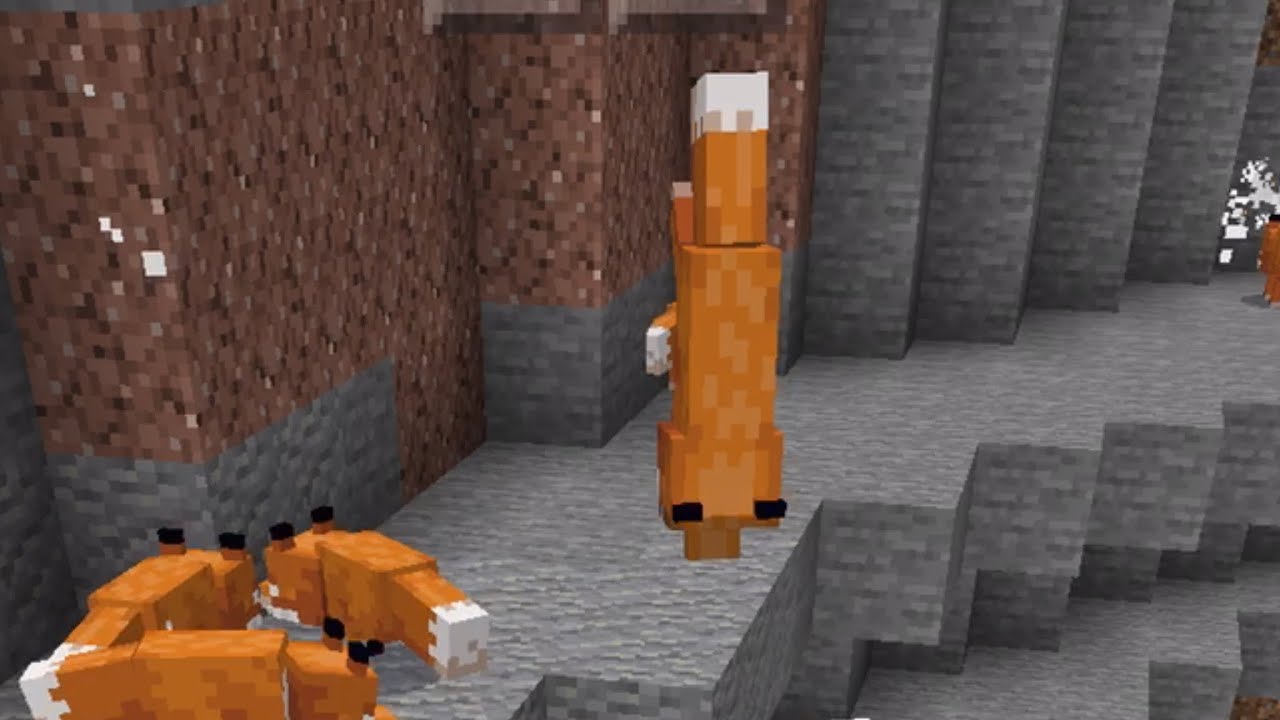 Suicidal Foxes in Minecraft - YouTube