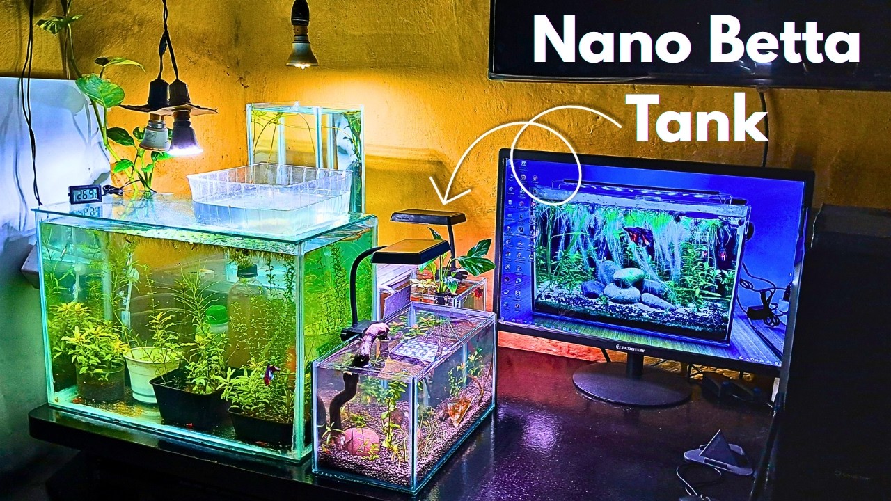 First Nano Betta Fish Tank Build - YouTube