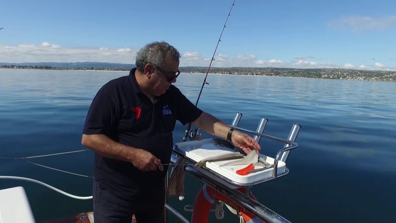 OOTB Episode 195 - Filleting Fish with Michael Angelakis - YouTube