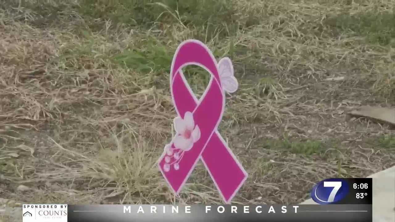Pace for Pink Walk for Breast Cancer Awareness Month - YouTube