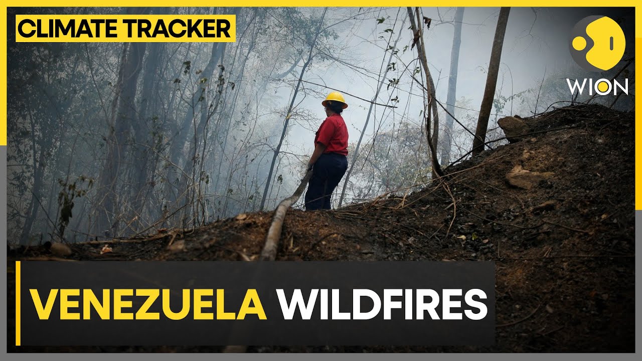 Wildfires hit Venezuela during climate driven drought | WION Climate ...