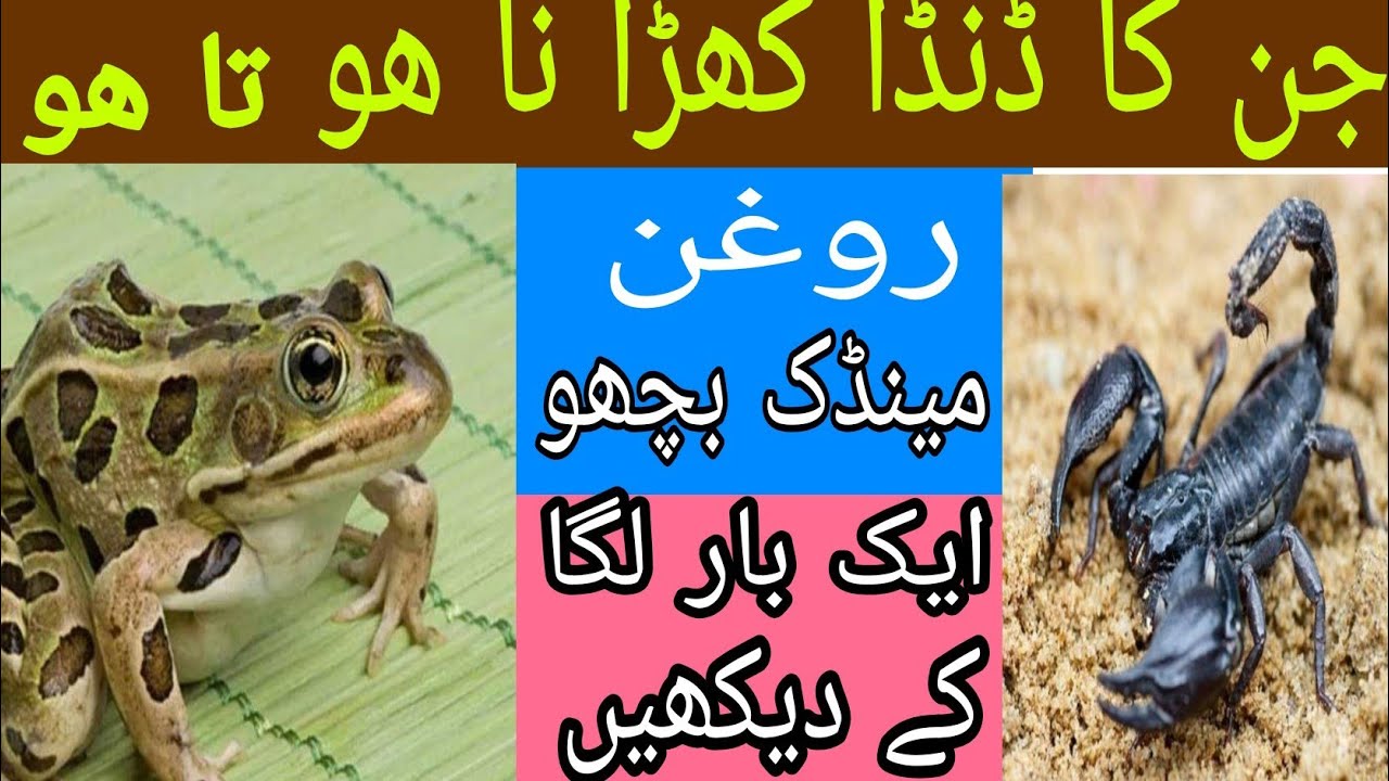 Nafski lambai motai wala Roghan maiduk bichoon - YouTube