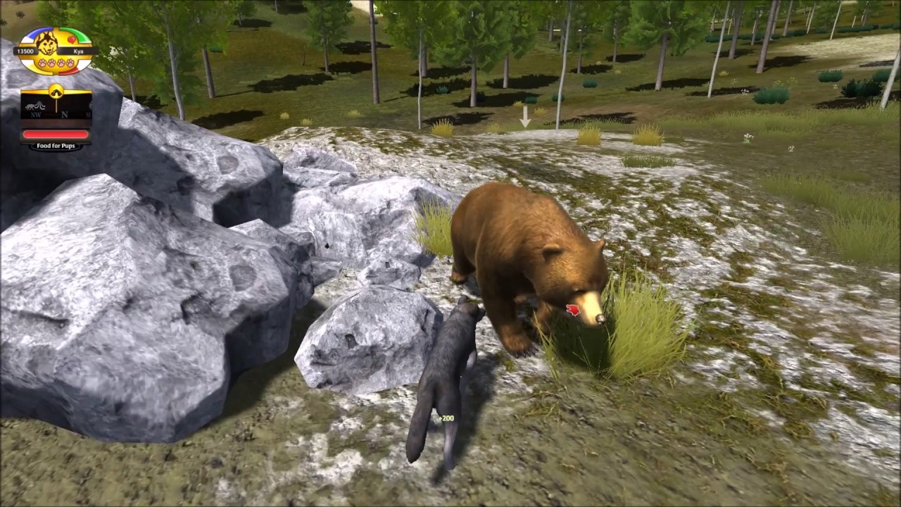 WolfQuest: Return of the Pack | Episode 16- The Journey Begins - YouTube