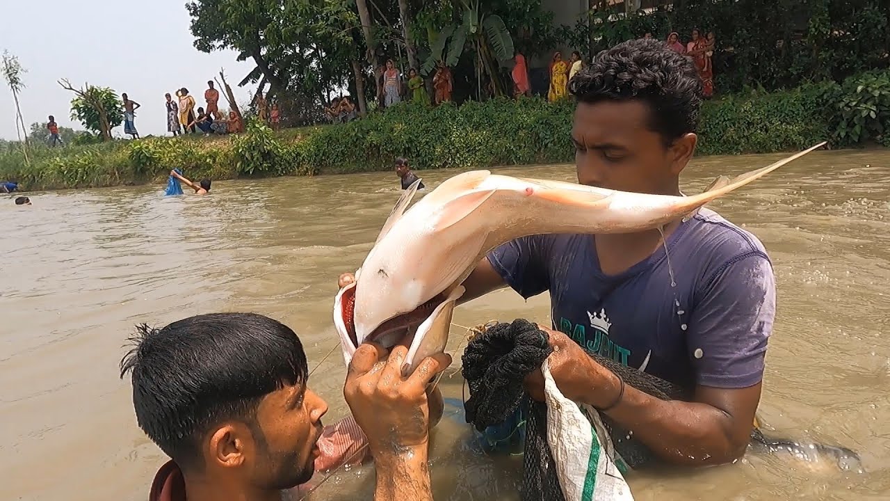 Catching Big Fish In Fishing Competition | Awesome Fishing Video | Best ...