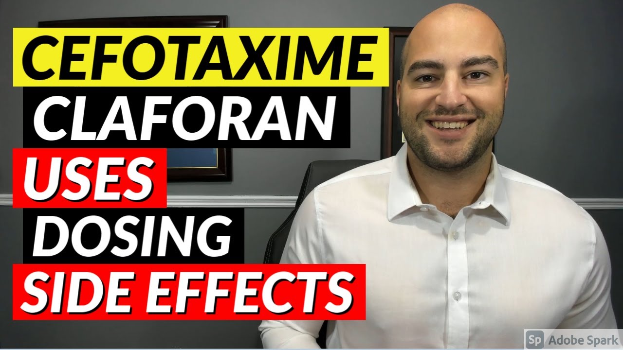Cefotaxime (Claforan) - Pharmacist Review - Uses, Dosing, Side Effects ...