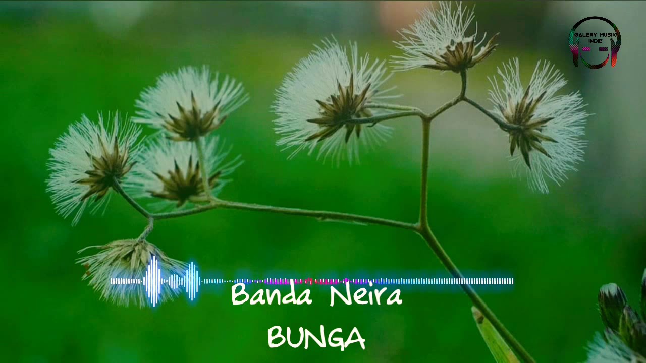 Banda Neira - Bunga (Unofficial Lyric) - YouTube